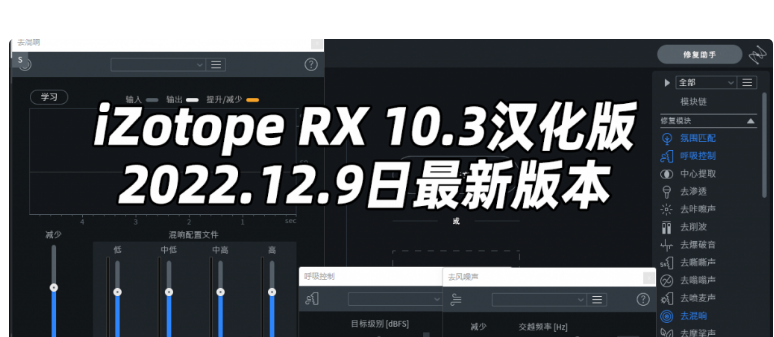 iZotope RX 10 Audio Editor Advanced 10.3.0 汉化版【Windows】 - 五度网 - 萤火虫教程网 ...